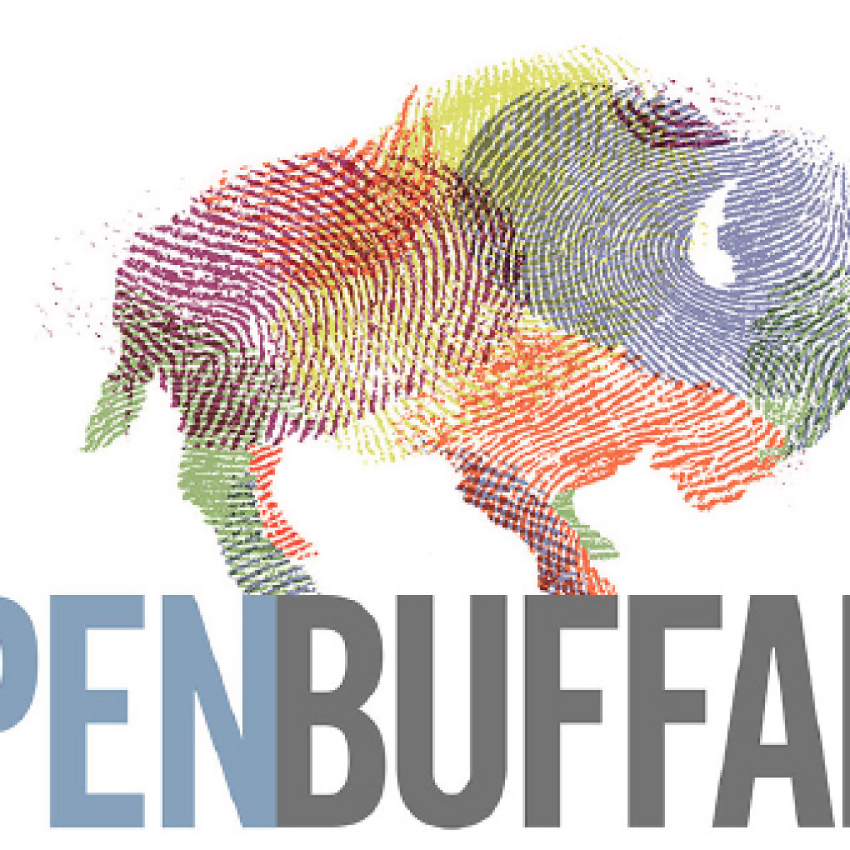 Job Alert: Open Buffalo Seeks Impact Officer - Open Buffalo - Buffalo, NY